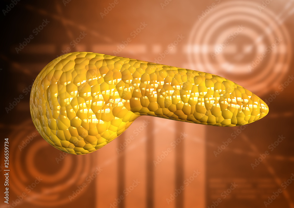 pancreas, human body organ isolated on scientific background Stock ...