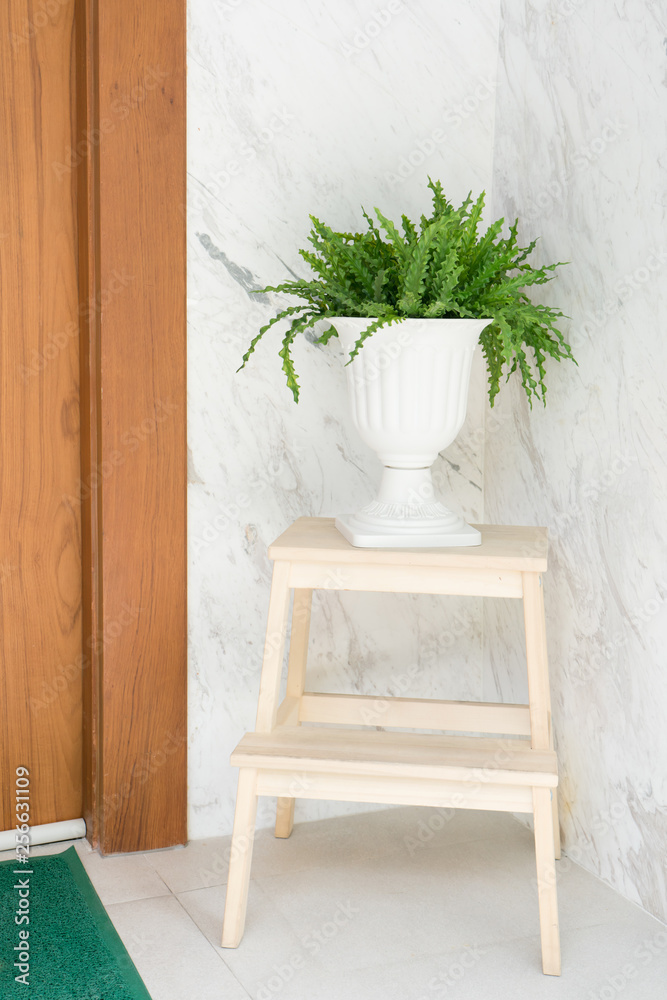 White classic vase for plant on clean wooden stair step stool in front ...