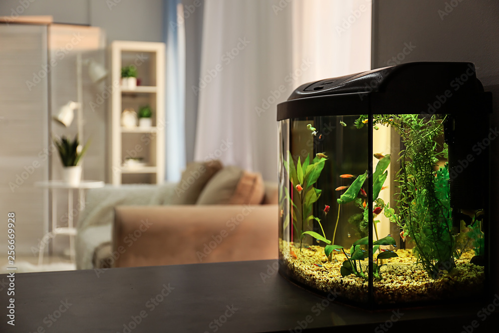 Beautiful aquarium on table in room Stock Photo | Adobe Stock