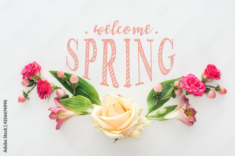 top view of roses and alstroemeria flowers composition on white ...