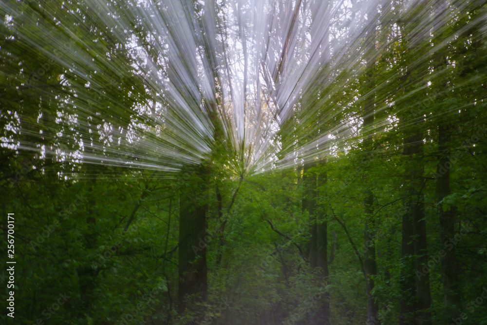 Abstract image of tree in countryside. Created by zooming out while ...