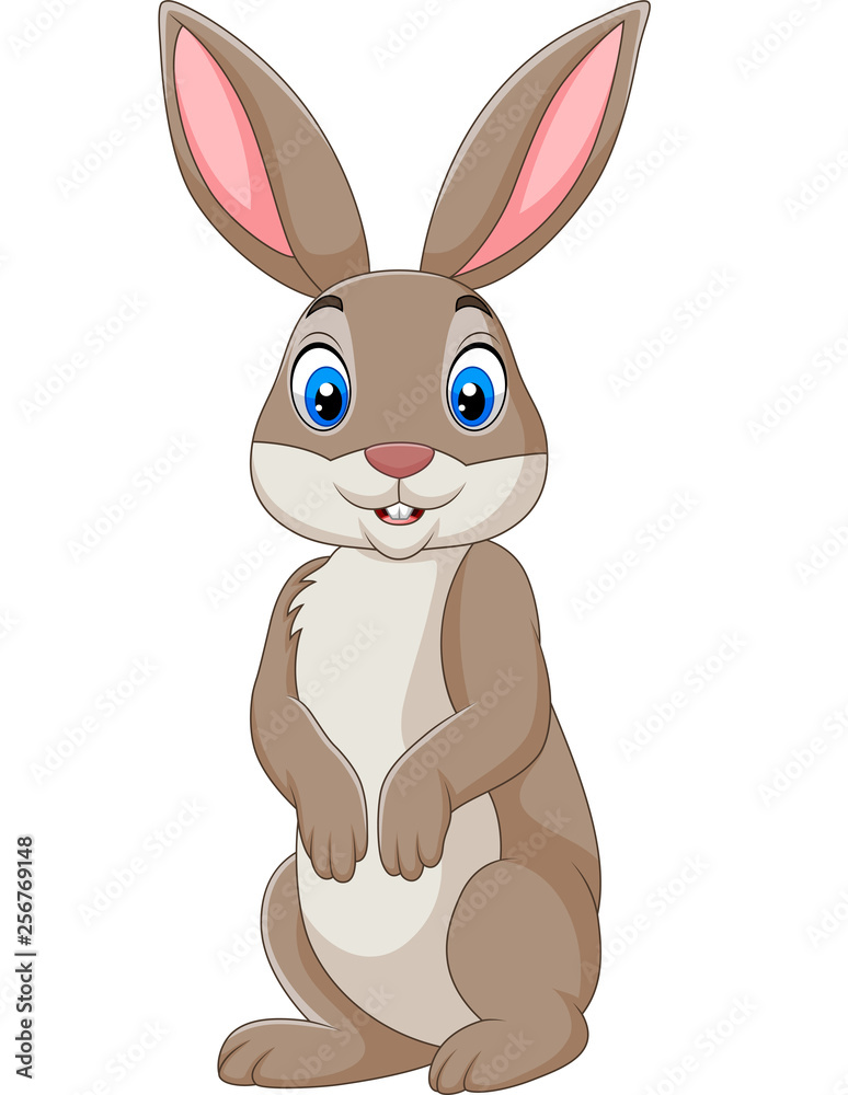 Cartoon happy rabbit isolated on white background Stock Vector | Adobe ...