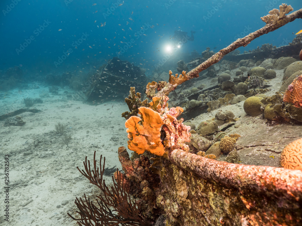 Ship wreck "Tugboat Saba" in coral reef of Caribbean sea around Curacao ...