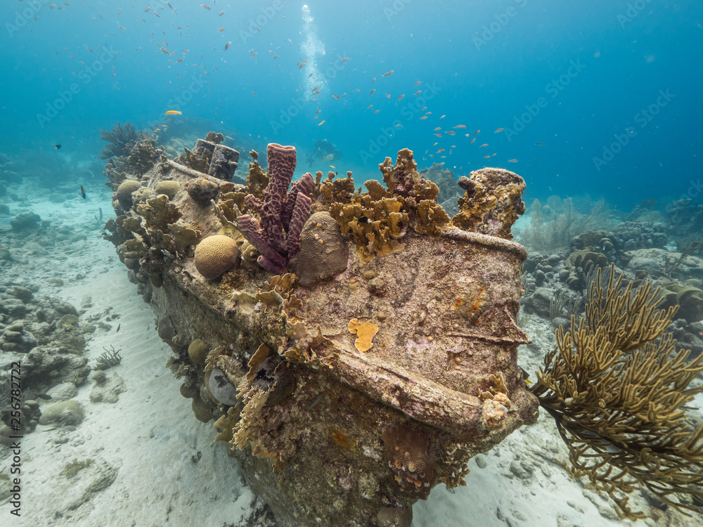 Ship wreck "Tugboat Saba" in coral reef of Caribbean sea around Curacao ...
