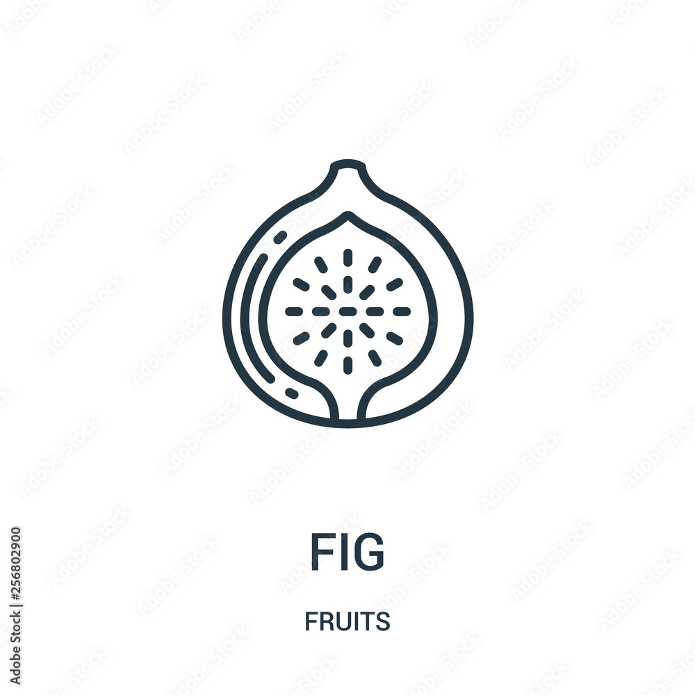 fig icon vector from fruits collection. Thin line fig outline icon ...