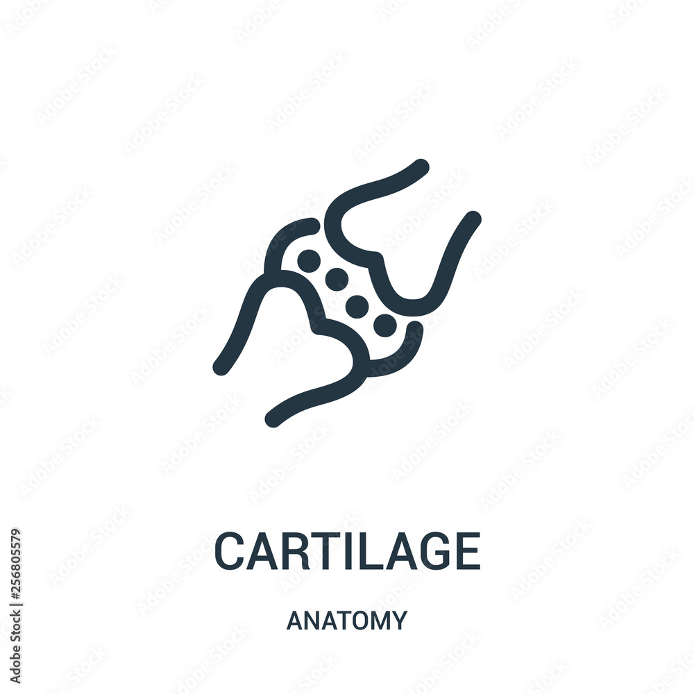 Vettoriale Stock cartilage icon vector from anatomy collection. Thin ...