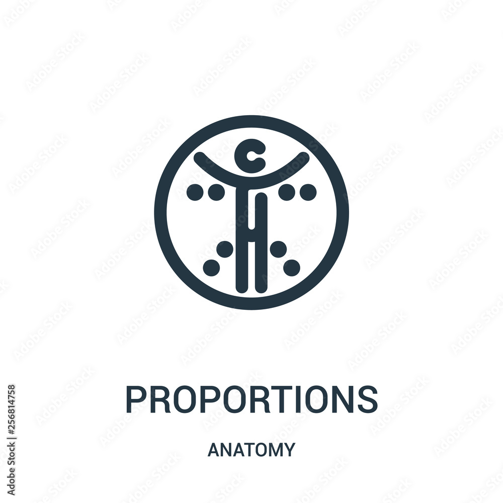 proportions icon vector from anatomy collection. Thin line proportions ...