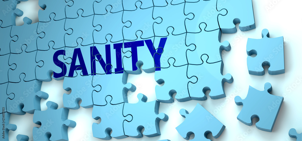 Sanity Puzzle Complexity Difficulty Problems And Challenges Of A sanity-puzzle-complexity-difficulty-problems-and-challenges-of-a