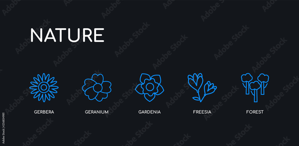 5 outline stroke blue forest, freesia, gardenia, geranium, gerbera ...