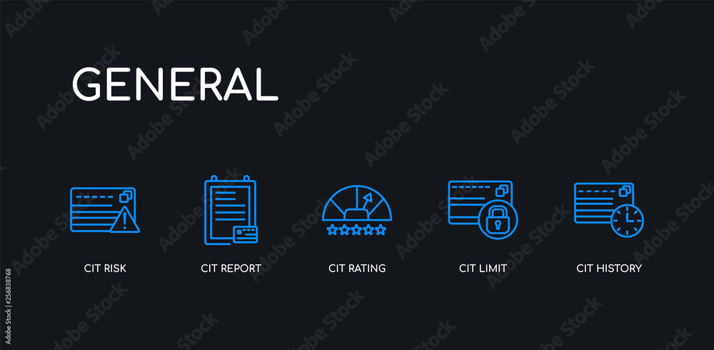 5 outline stroke blue cit history, cit limit, cit rating, report, risk ...