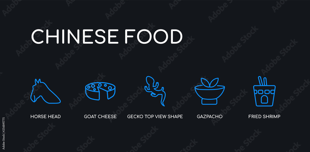 5 outline stroke blue fried shrimp, gazpacho, gecko top view shape ...