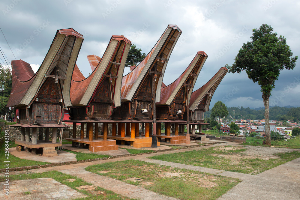 Tongkonan houses, traditional Torajan buildings, Tana Toraja, Sulawesi ...