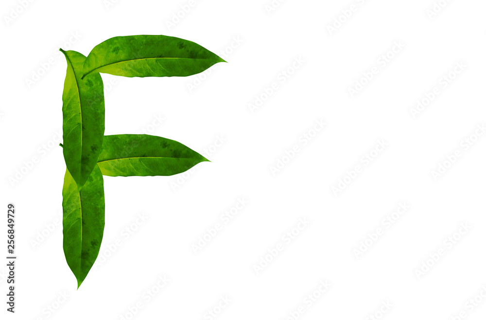 Green leaf letter F Background image. Natural Forest leaf alphabet ...