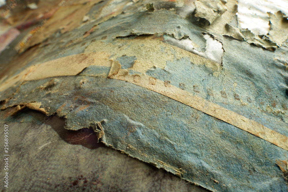 Old contact sheet damaged by chemical reaction. Corrosive acid-alkaline ...