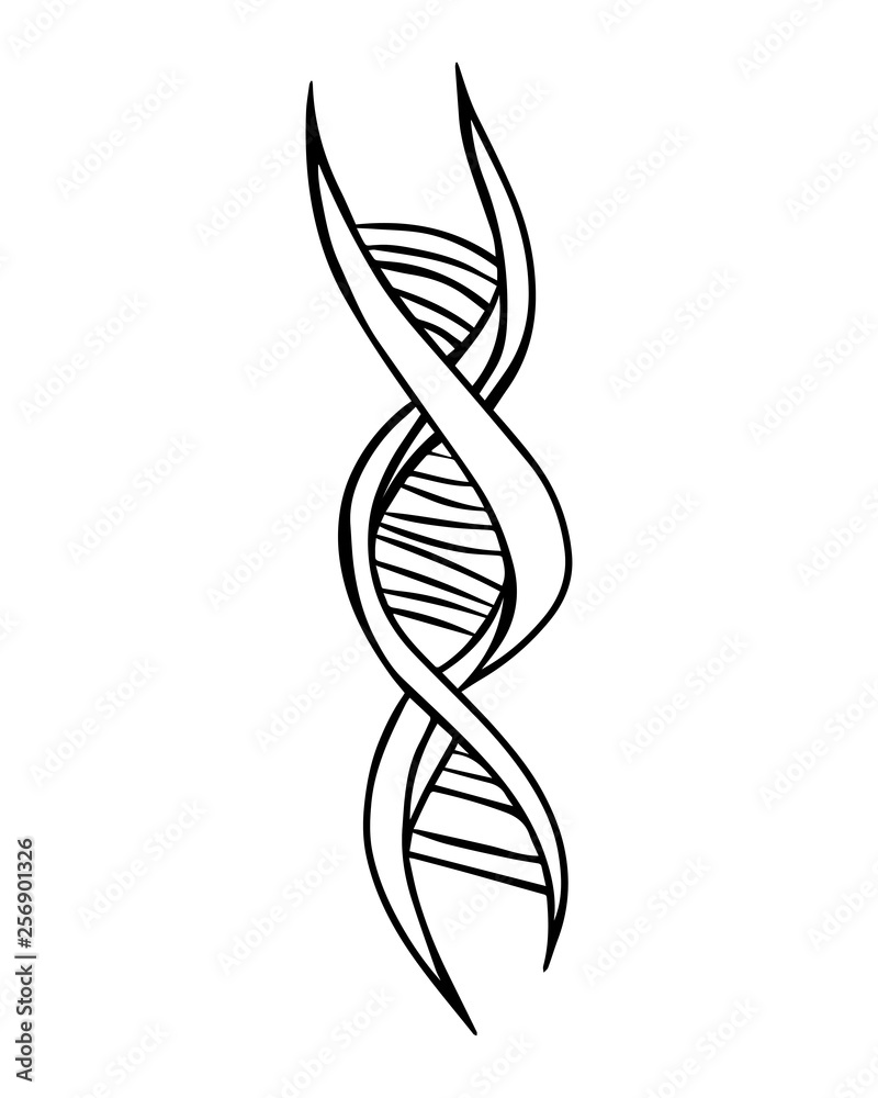 Cartoon vector illustration of black, white dna, gene. Great design ...