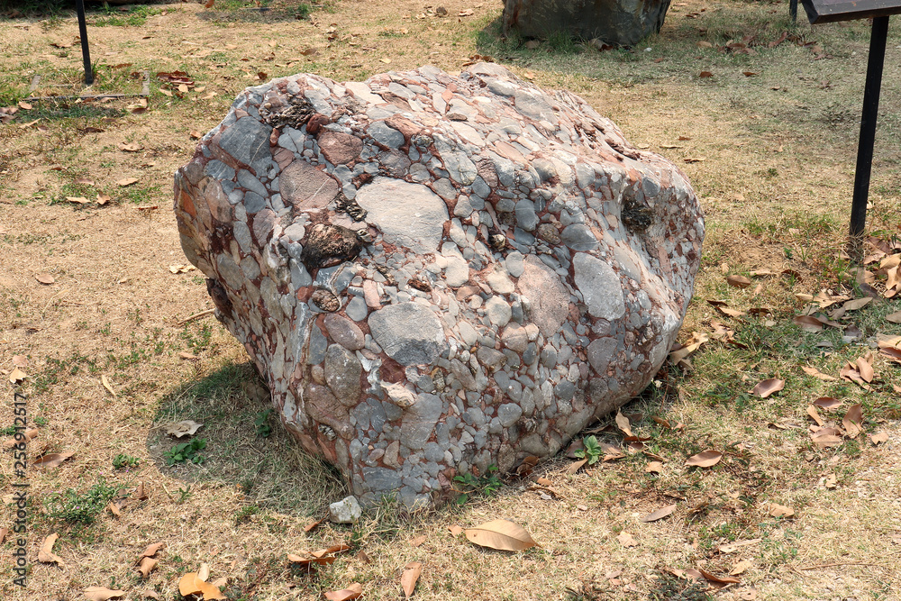 Natural specimen of conglomerate - sedimentary rock composed of rounded ...