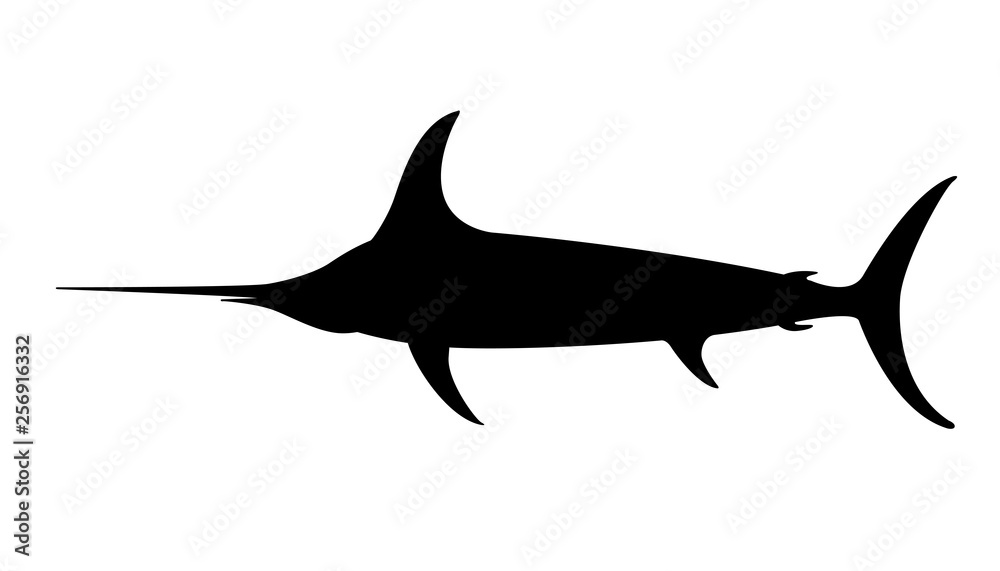 atlantic swordfish,vector illustration , black silhouette vector de ...