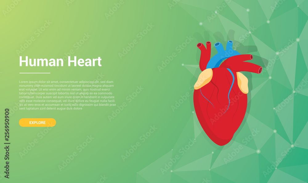 human heart template wallpaper background design concept with free space for text - vector ...