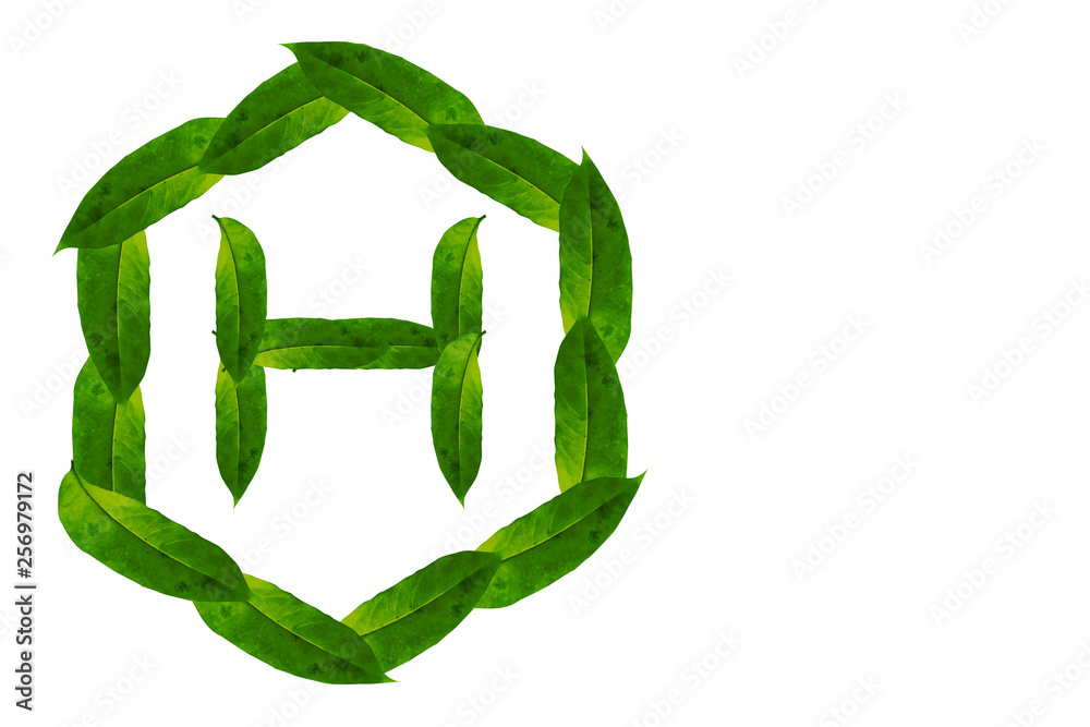 Letter H In Nature