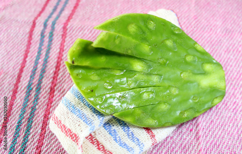 Foto de El nopal es un alimento típico mexicano. Se trata de una ...