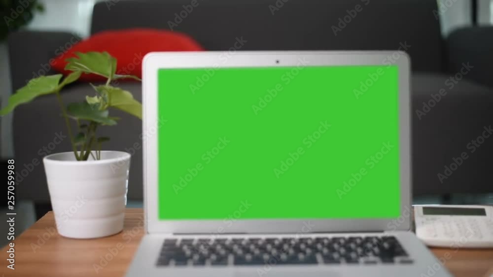 Close-up of a Woman's Hands Working on Green Screen on a Laptop. A Girl ...
