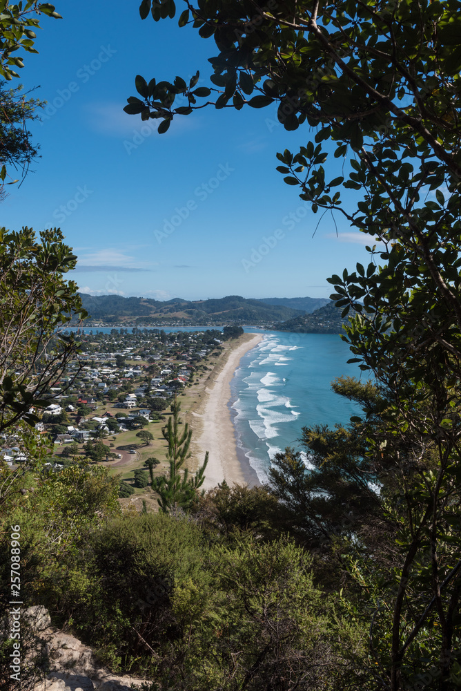 Elevated view through a gap in the trees of Pauanui township and beach ...