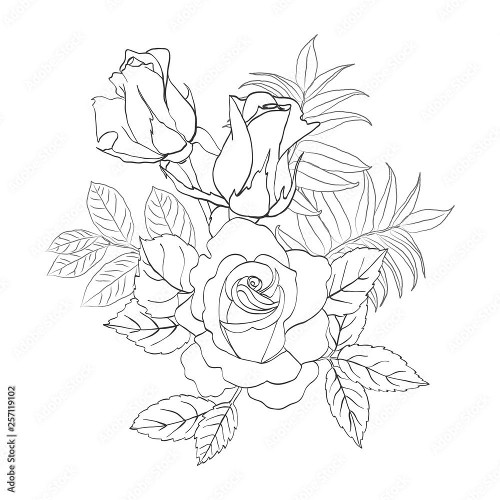 Rose Bouquet Outline
