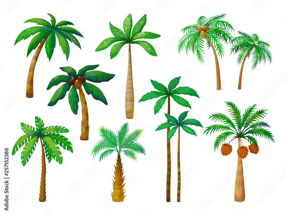 Cartoon palm tree. Jungle palm trees with green leaves, coconut beach ...