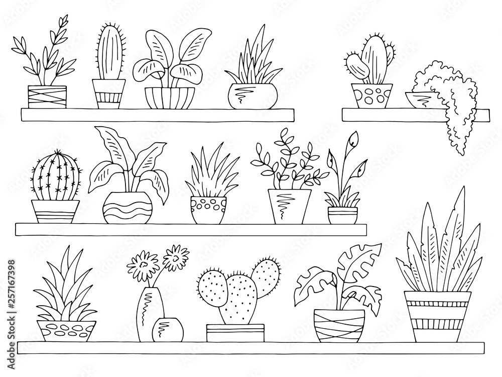 Shelves set graphic black white isolated plant pot sketch illustration ...