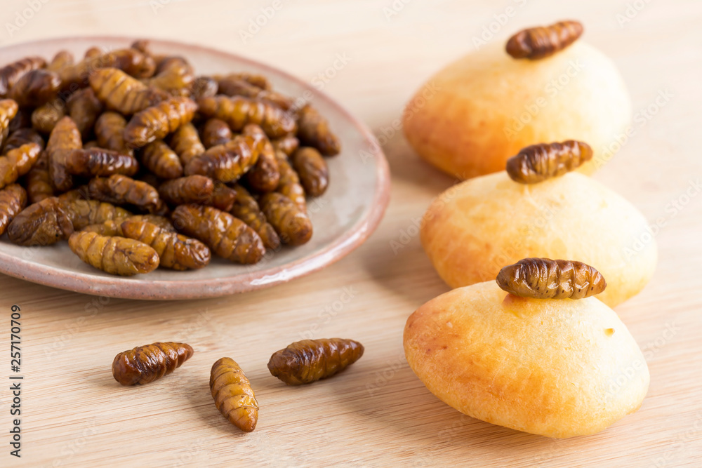Silkworm Cocoon Food
