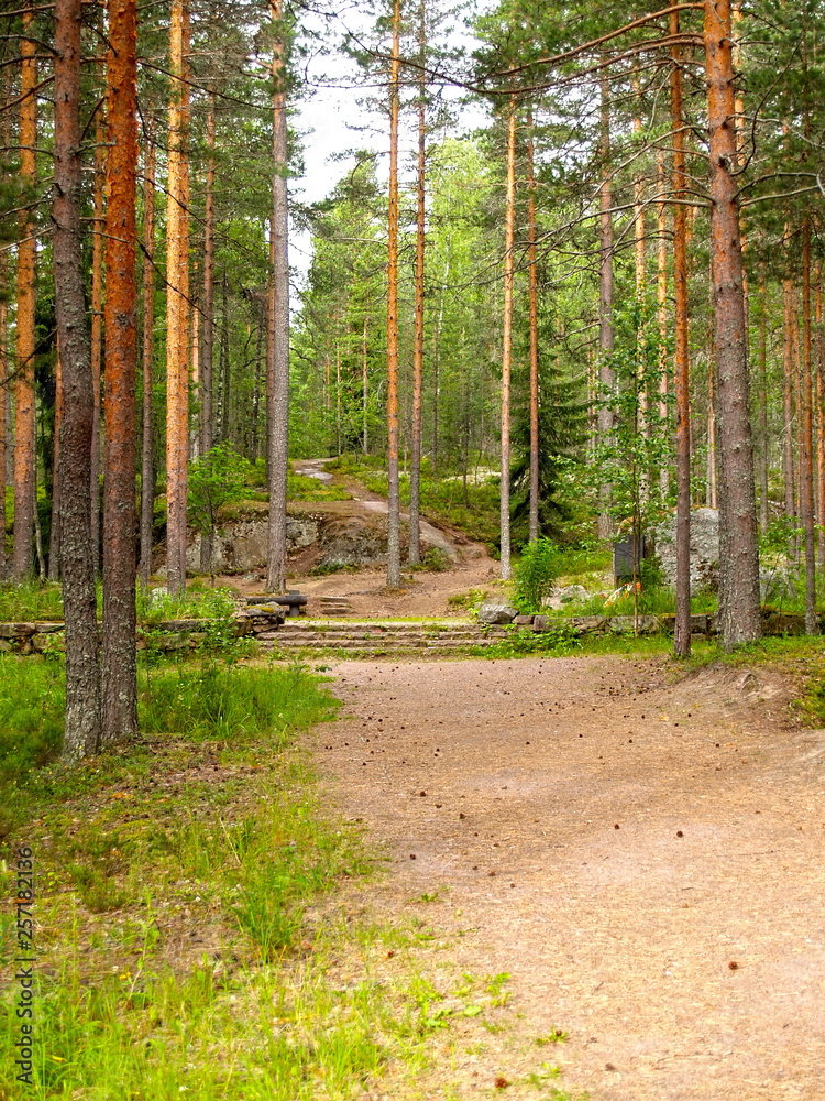 Foto de The remains of strengthenings of the line of Mannerheim in the ...