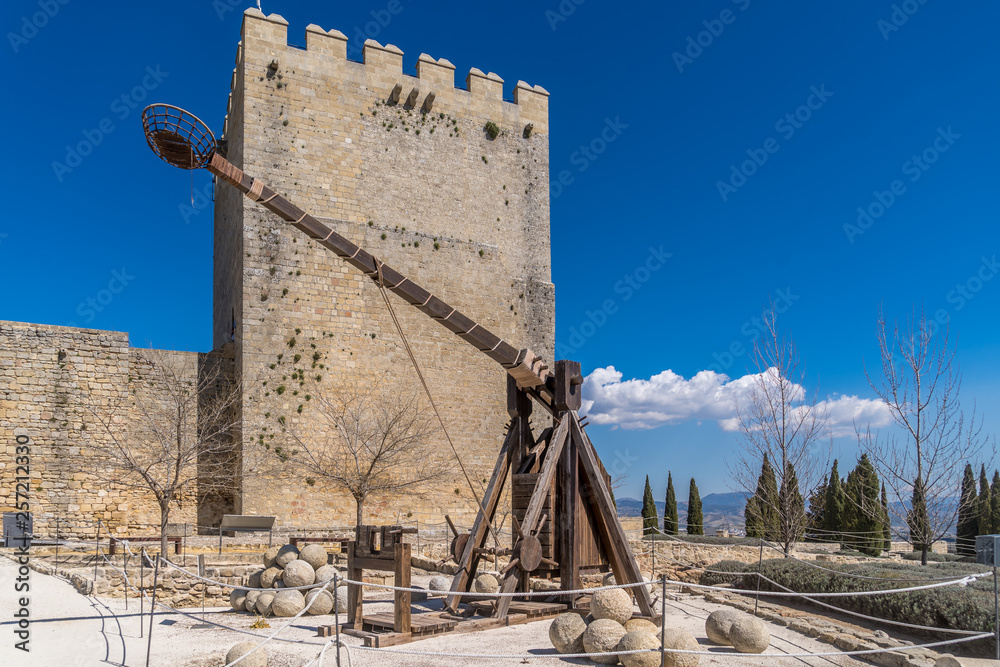 Medieval Catapult And Castle