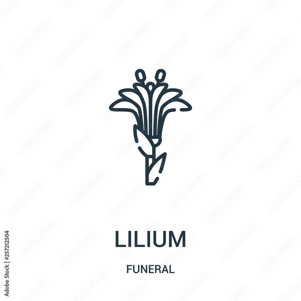lilium icon vector from funeral collection. Thin line lilium outline ...