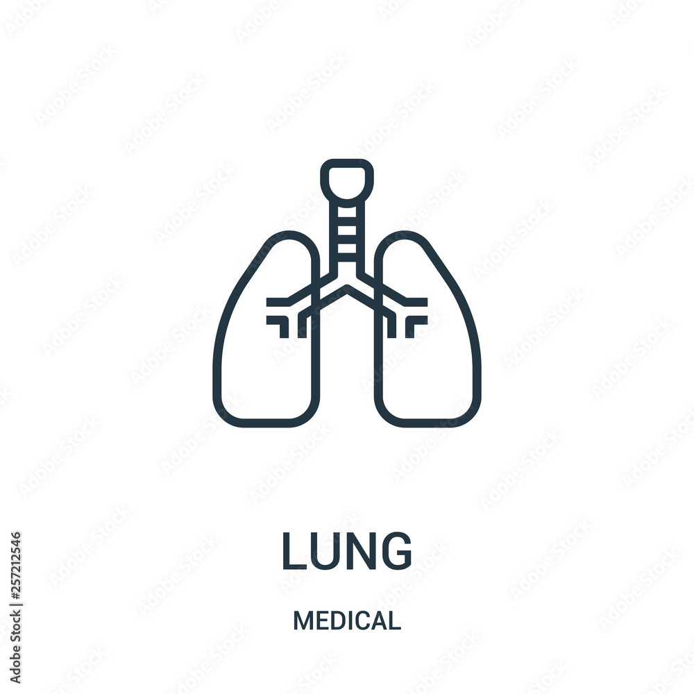 lung icon vector from medical collection. Thin line lung outline icon ...