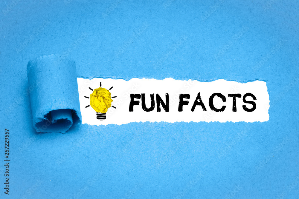 Fun Facts Stock Photo | Adobe Stock