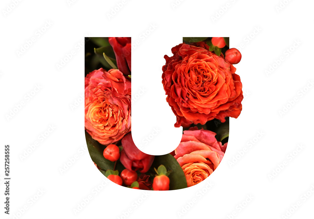Orange Letter U