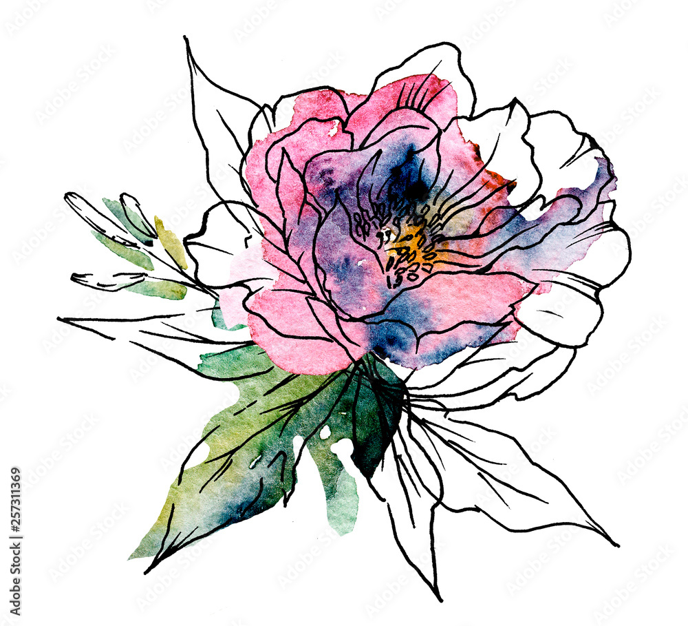 Watercolor Line Drawing Flowers | Best Flower Site
