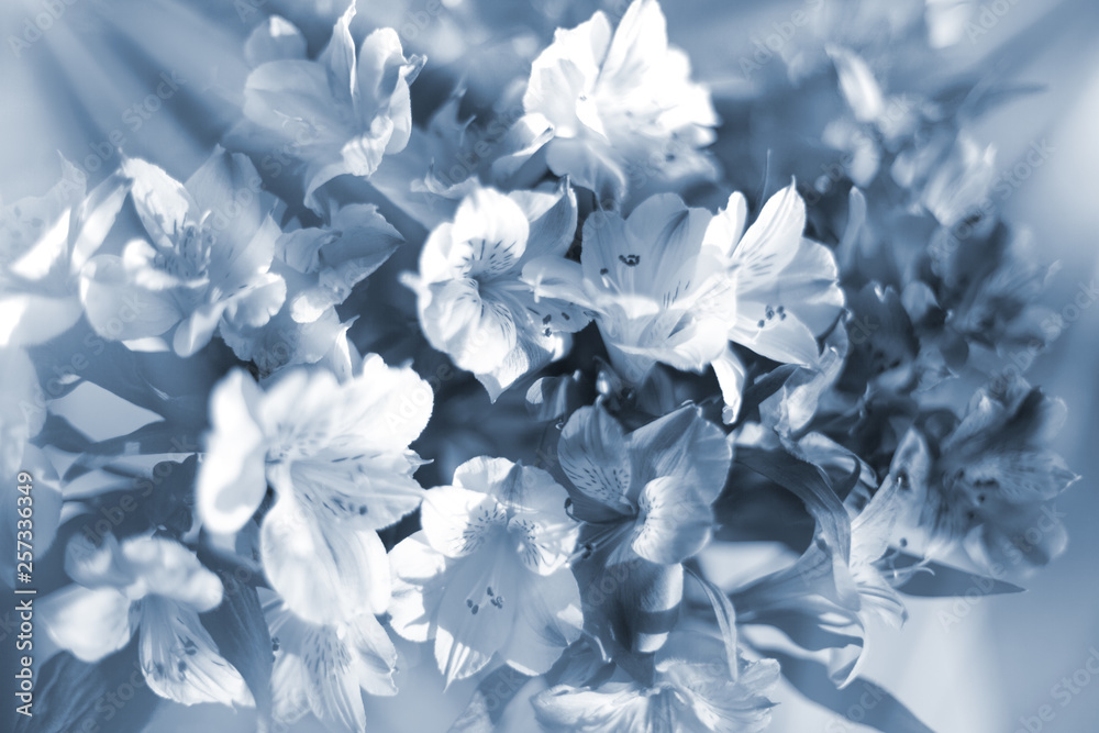 Light Blue Flower Background Design