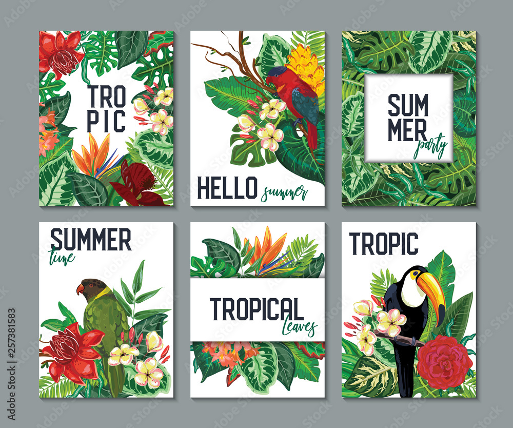 Vector collection with six cards, notes and banners with toucan, exotic ...