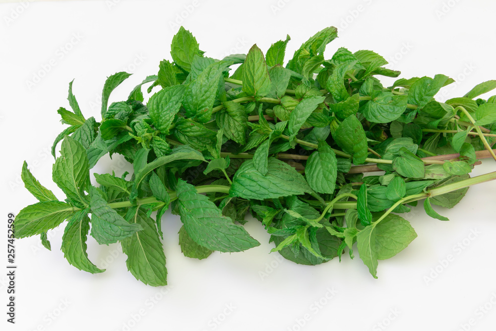 Manojo de hierbabuena ecológica sobre fondo blanco Stock Photo | Adobe ...
