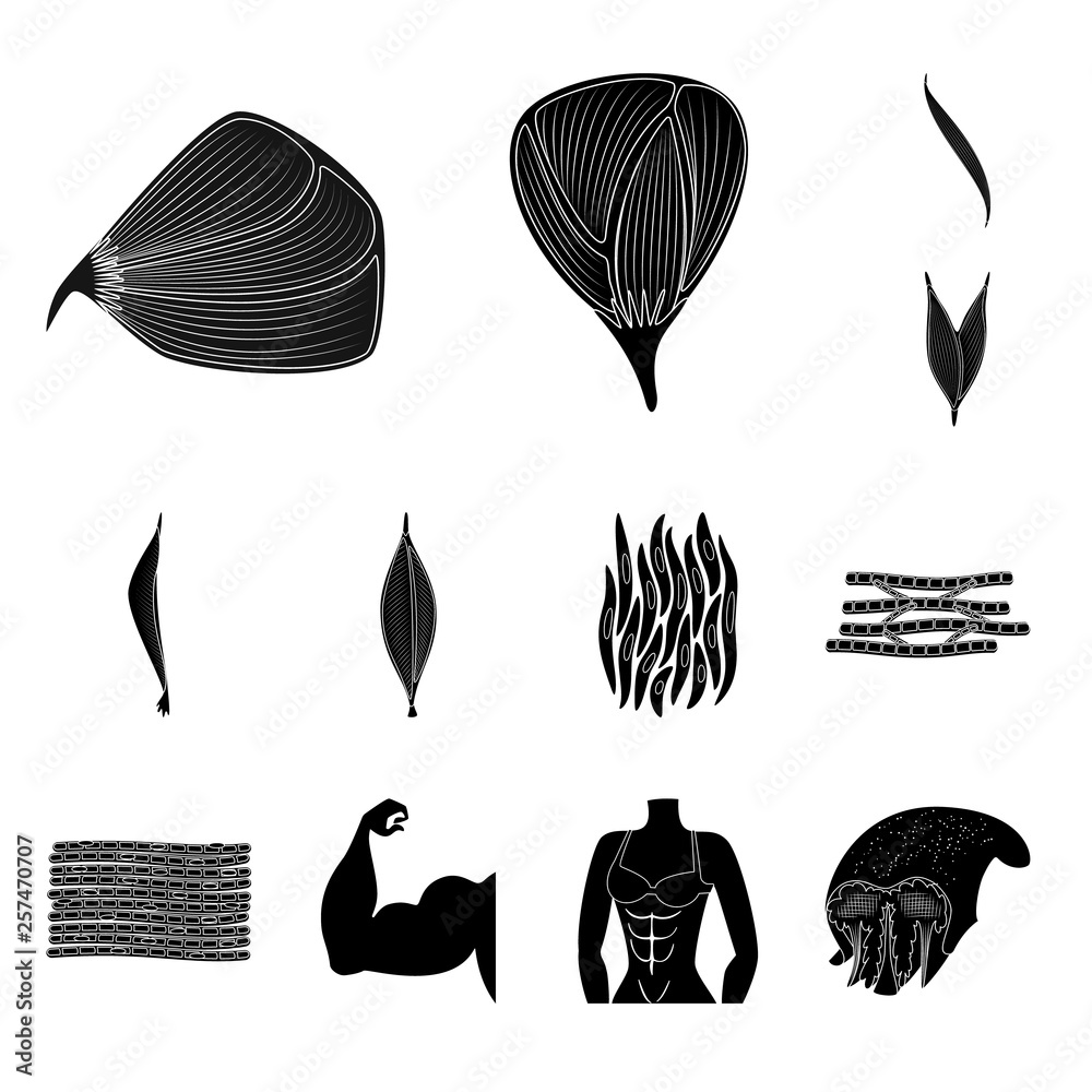 Vector illustration of human and body icon. Set of human and cells ...