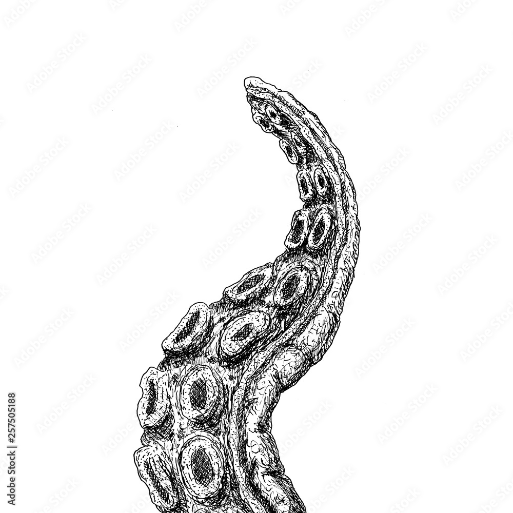 Hand Drawn Pen Ink Monster Octopus Tentacles Drawing Stock Illustration ... Hand Drawn Pen Ink Monster Octopus Tentacles Drawing Stock Illustration ...