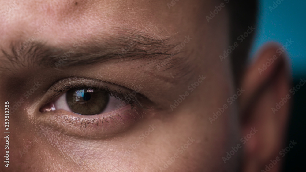 The human eye is depicted very closely with the brown (hazel) color of ...