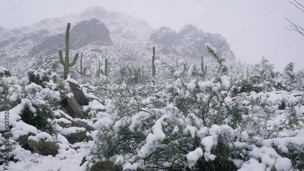 Wide shot of a rare desert snowstorm in Gates Pass, Arizona. Snow ...