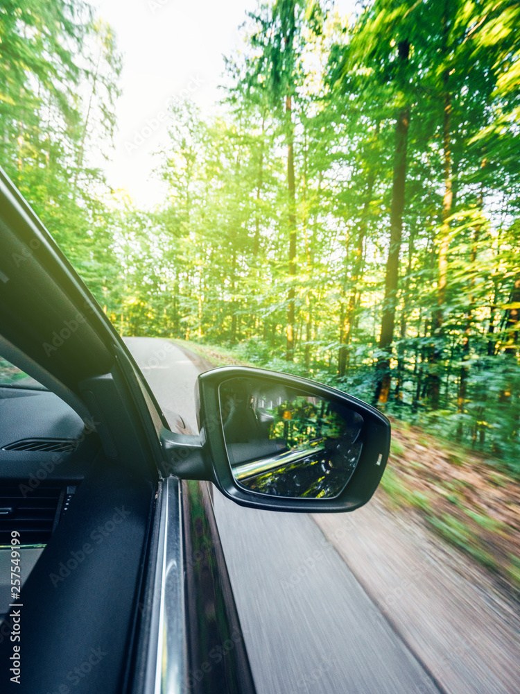 Vertical view of new modern car driving fast into forest with tall ...