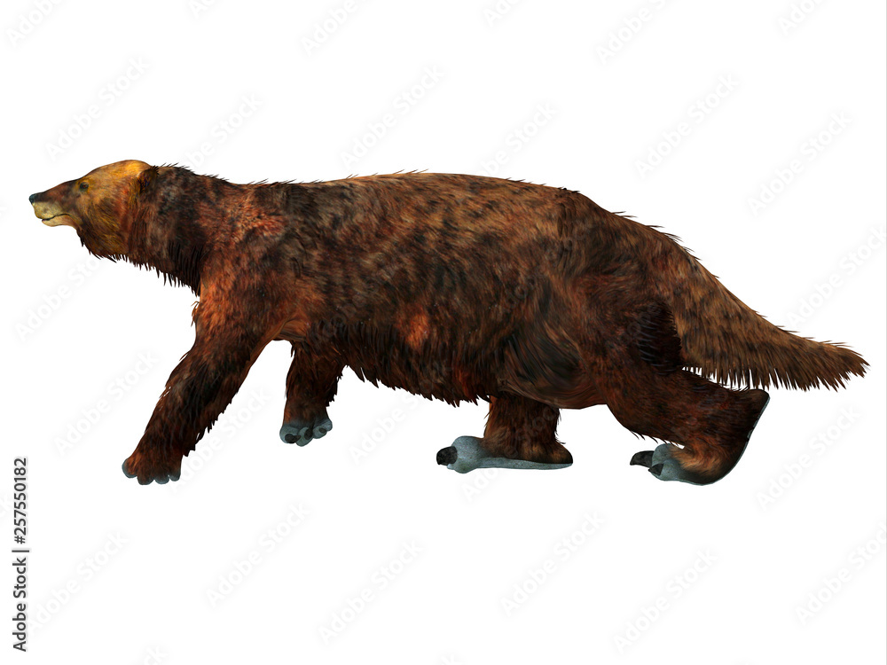 Megatherium Sloth Walking - Megatherium was a herbivorous Giant Ground ...