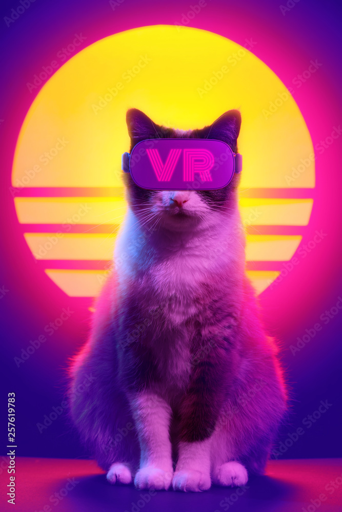 Cat wearing virtual reality goggles wireless headset. VR videogame ...