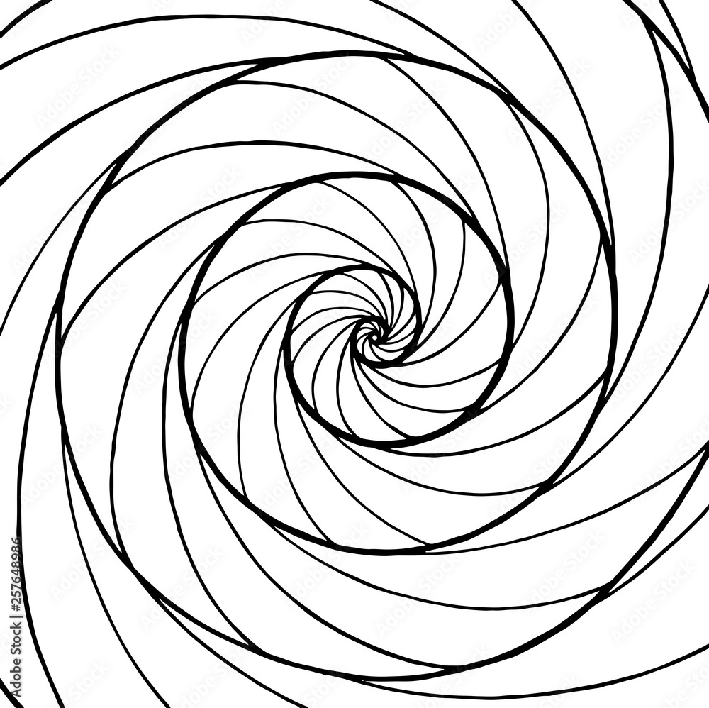 Spiral Shell Outline