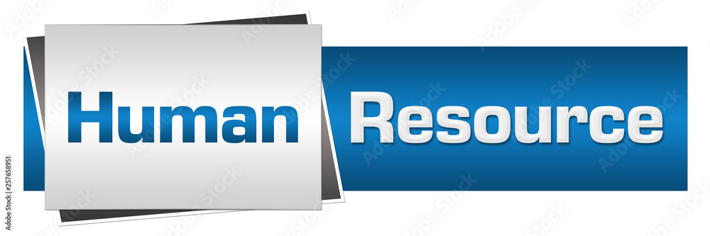Human Resource Blue Grey Horizontal Stock Illustration | Adobe Stock