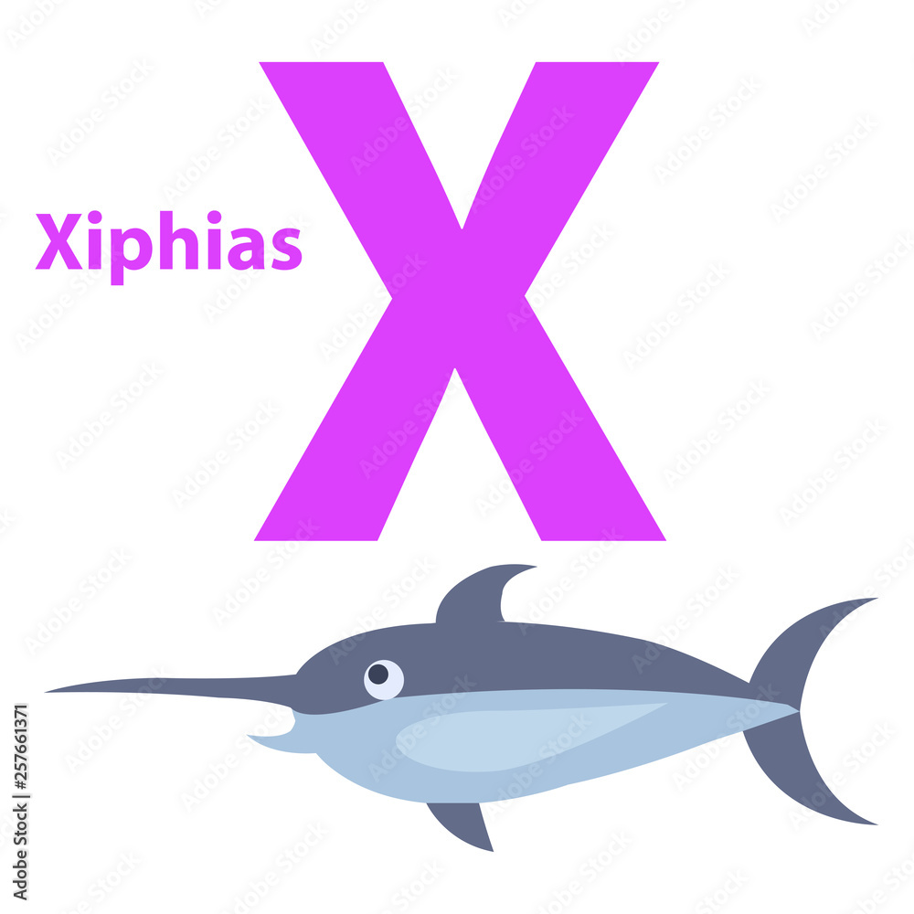 Baby Xiphias
